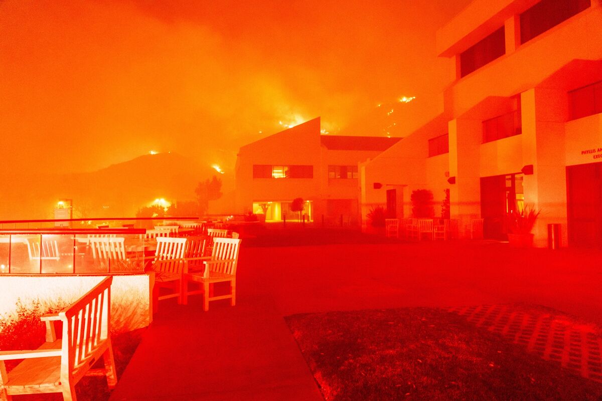 How Pepperdine Survived Malibu's Franklin Fire - Bloomberg