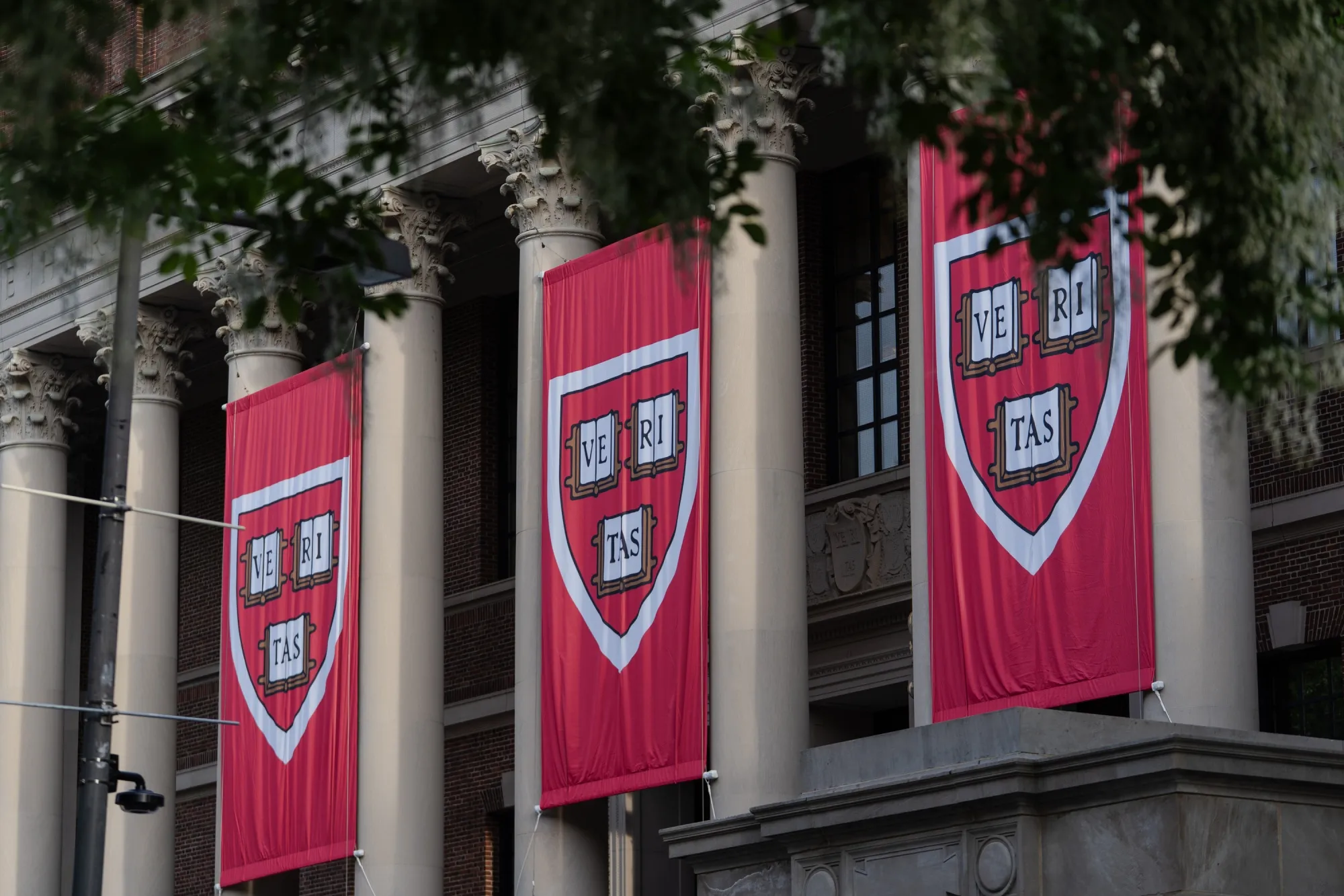 Harvard Says Trump Student Ban Hurts Despite Judge’s Block - Bloomberg