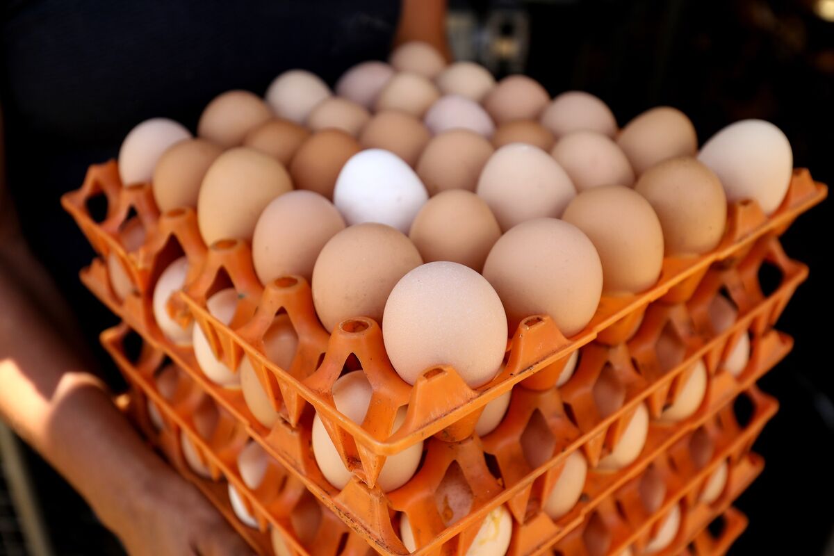 Australia Supermarket Coles Limits Egg Buying After Bird Flu Outbreak ...