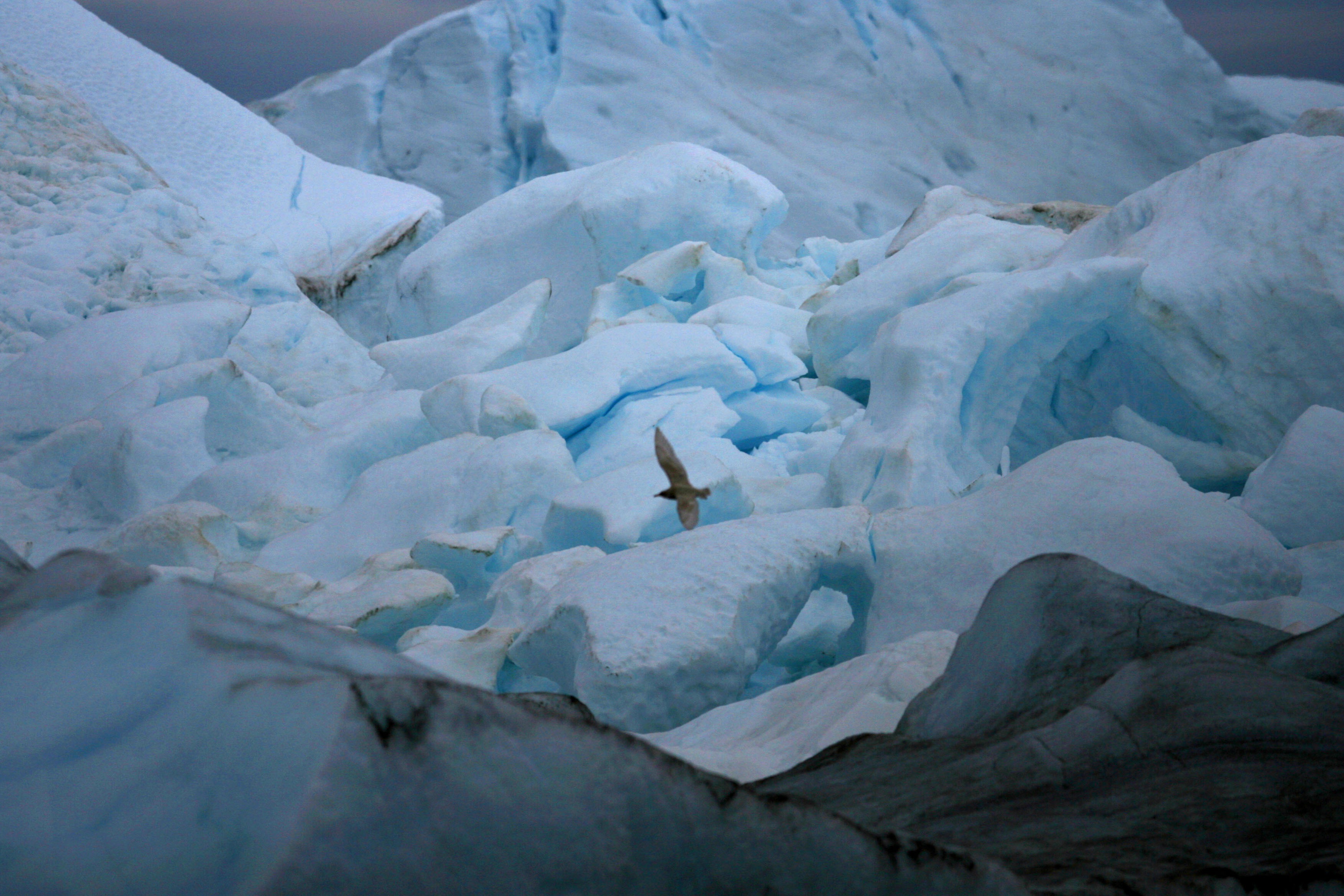 Julia Nasa Noaa Iceberg