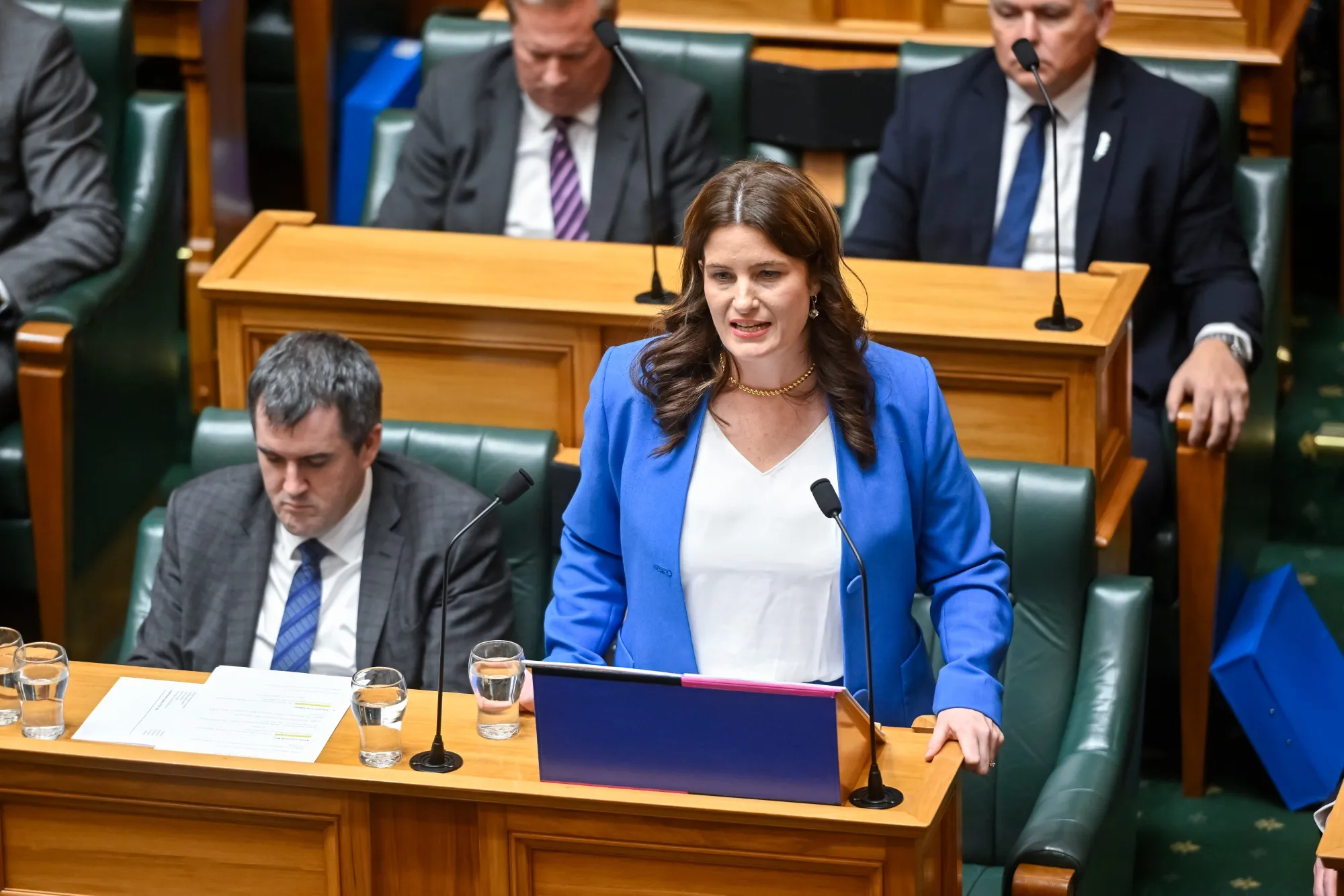 New Zealand Government Information