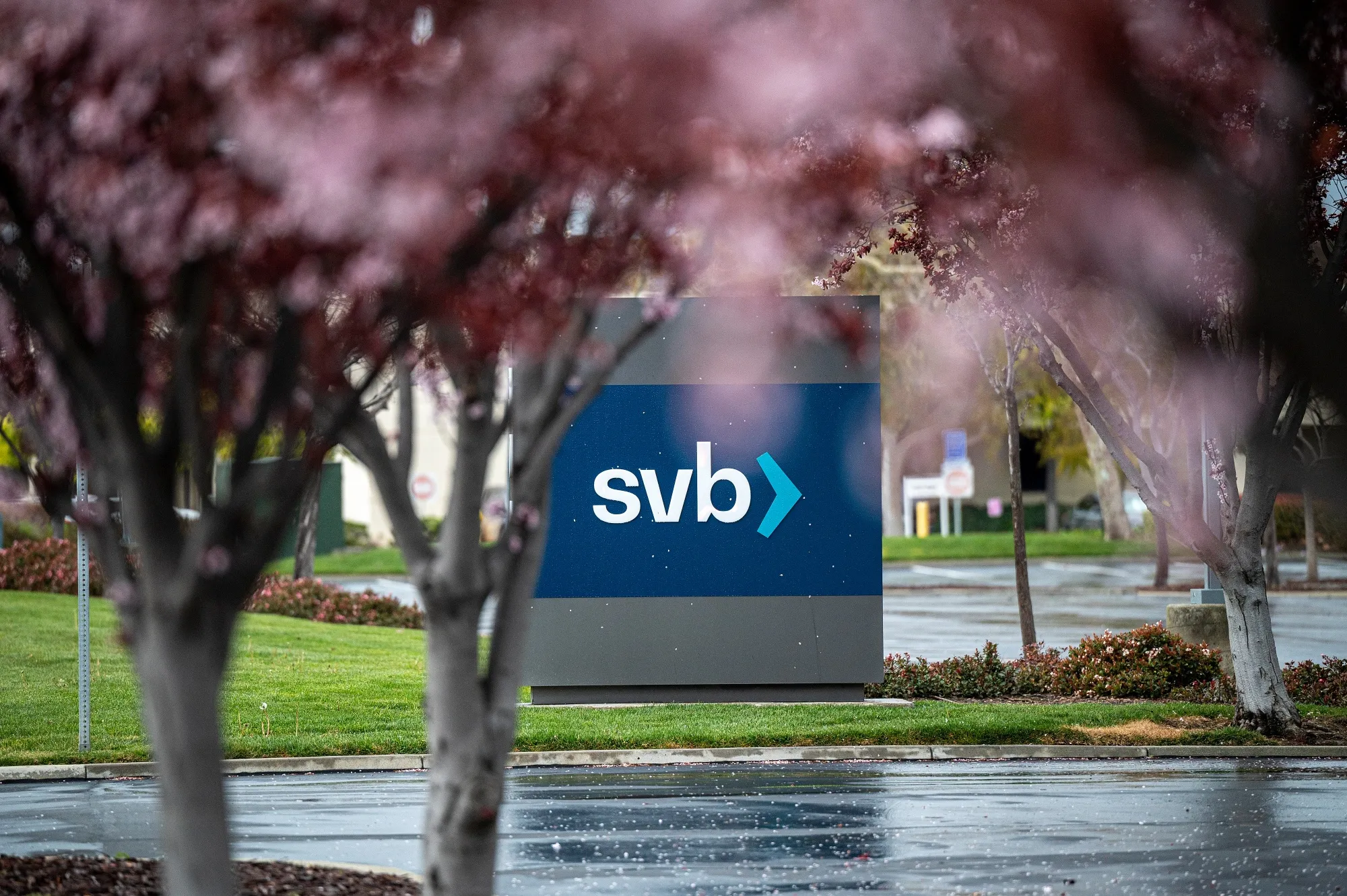 Greenoaks Capital VC Firm Warned Founders About SVB Last Year - Bloomberg