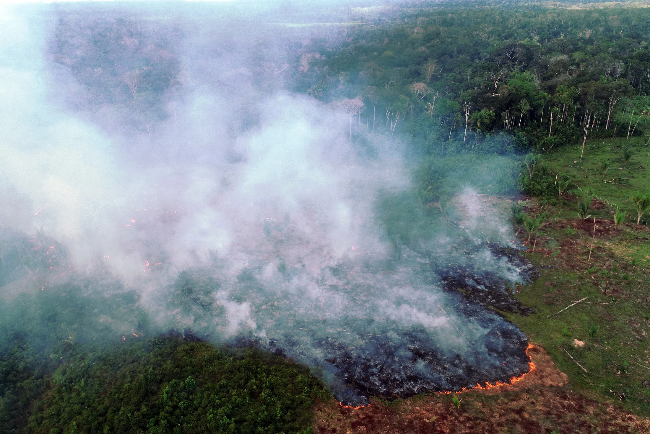 Amazon Deforestation: Fires and Logging Made 2020 a Nightmare - Bloomberg