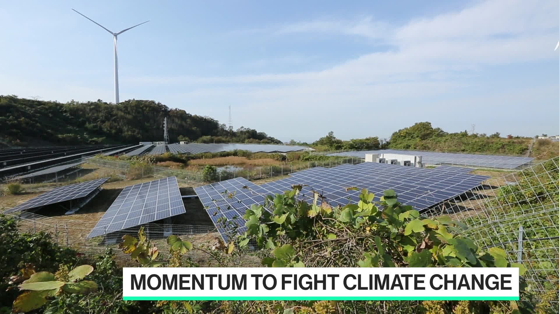 Watch Helping Businesses Get to Net Zero Carbon - Bloomberg