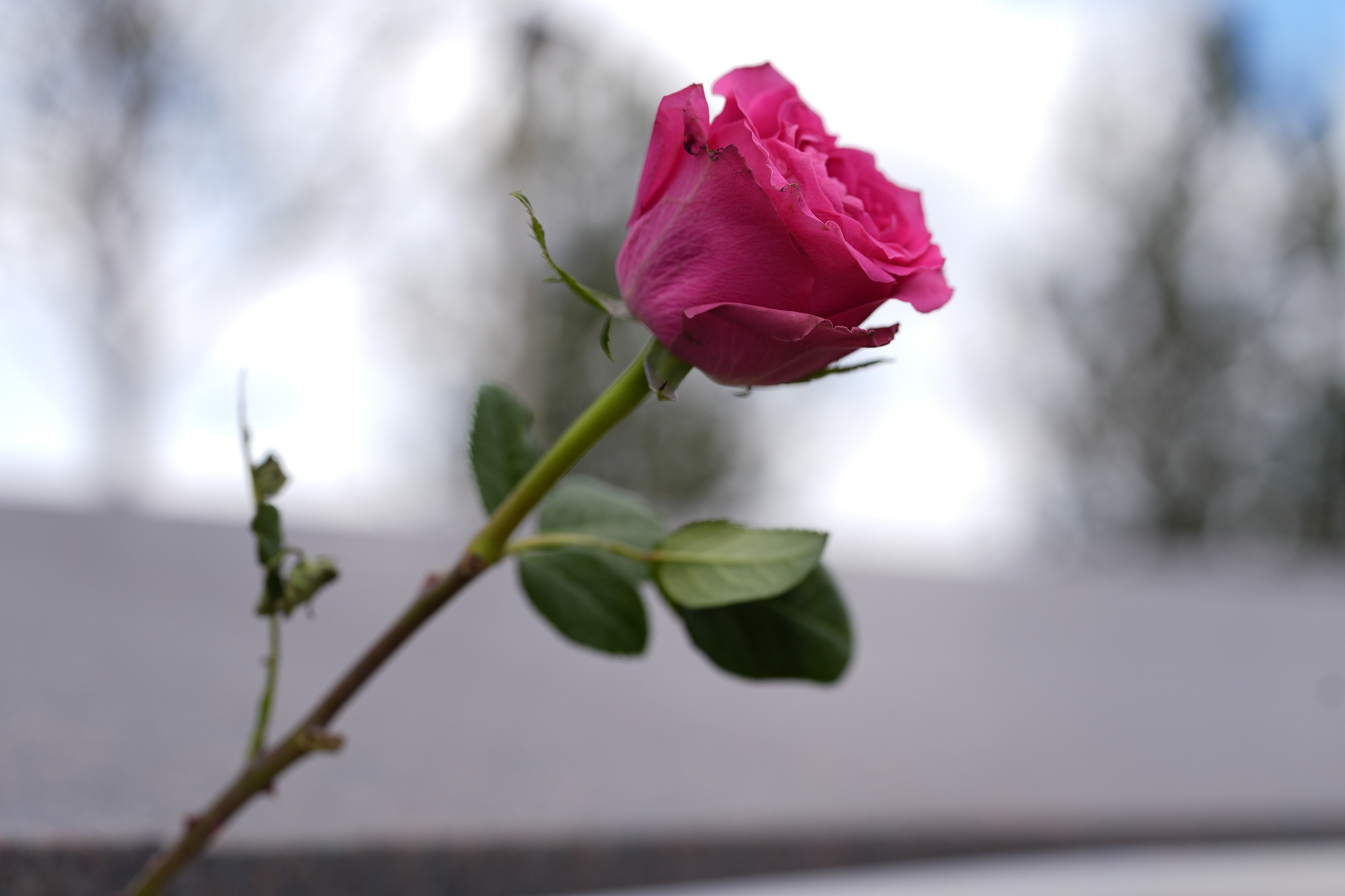 25 years after Columbine, trauma shadows survivors of the school ...