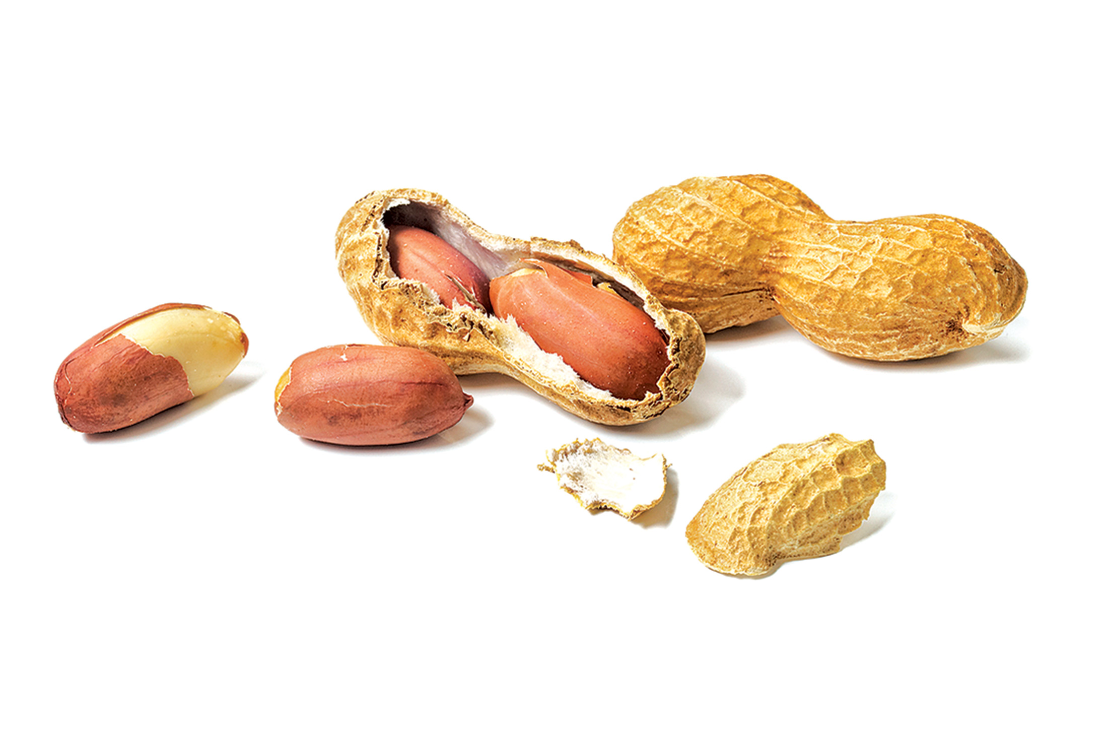 Viaskin Peanut Patch: Allergy Fighter - Bloomberg