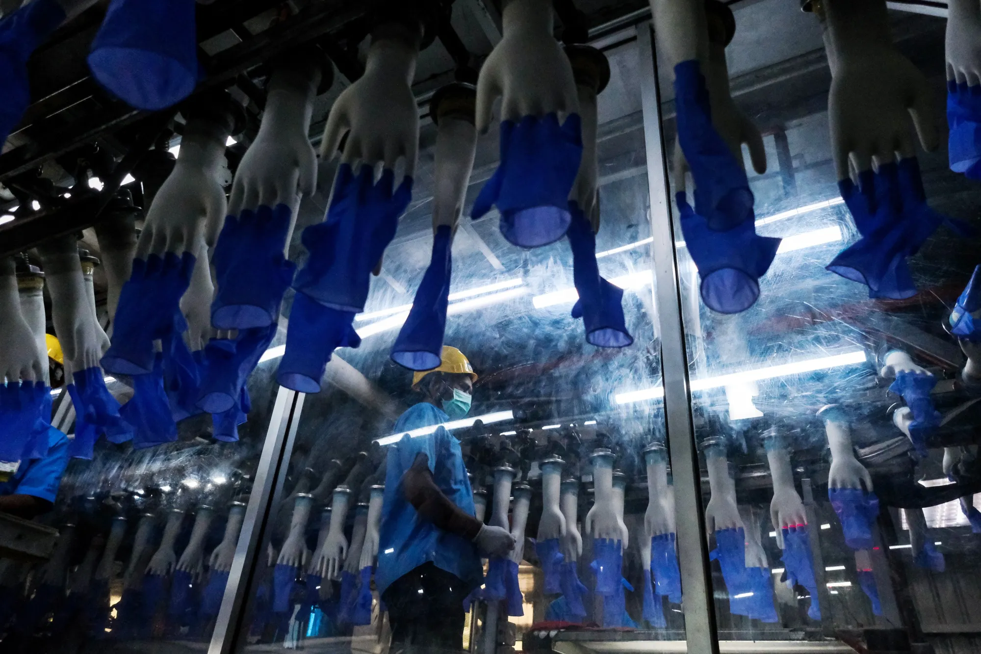 The World's Biggest Rubber Glove Maker Loses $16 Billion Since Covid ...