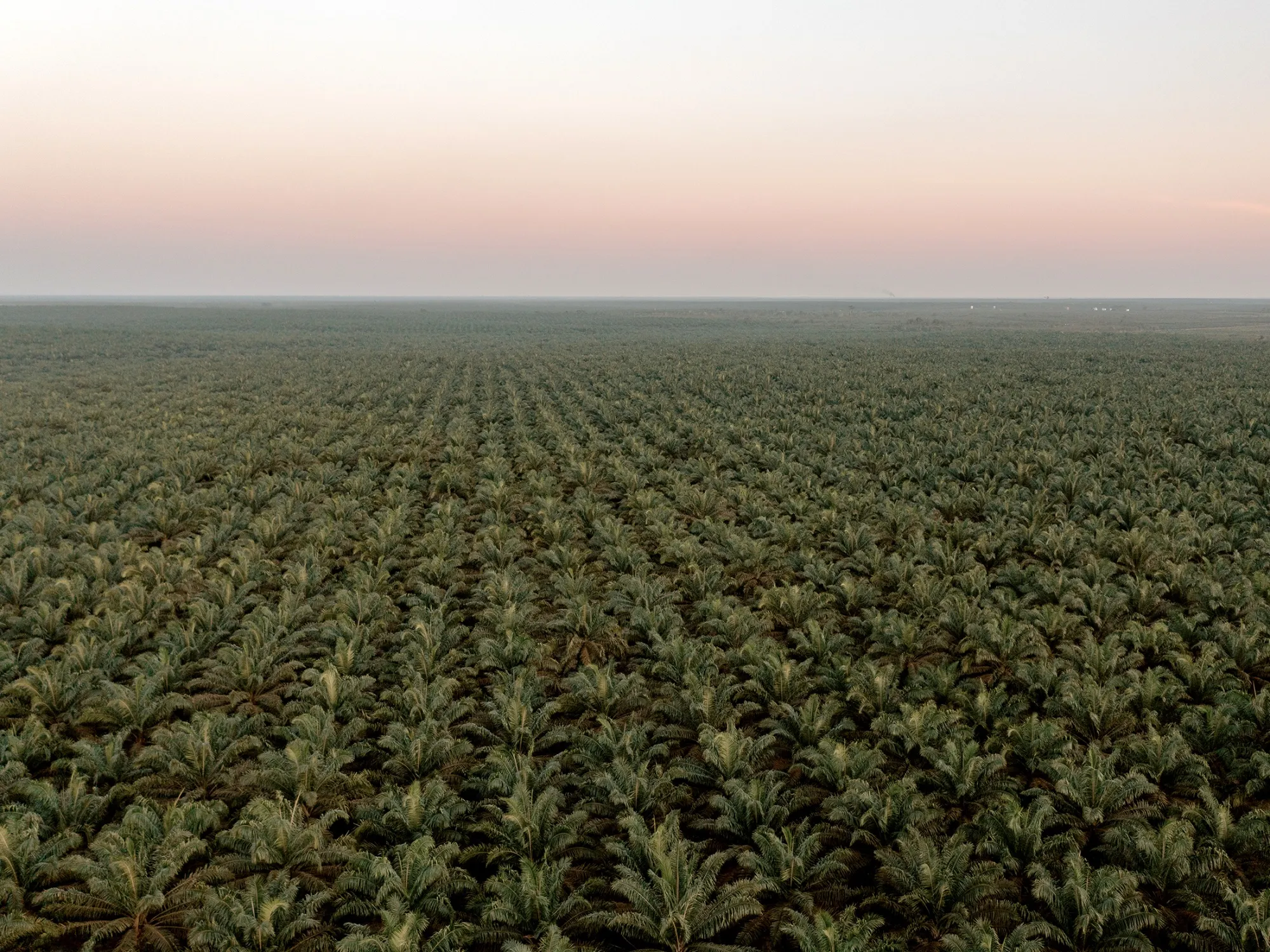 Indonesia's Prabowo Tightens Grip on Plantations, Mines with Vast Land ...