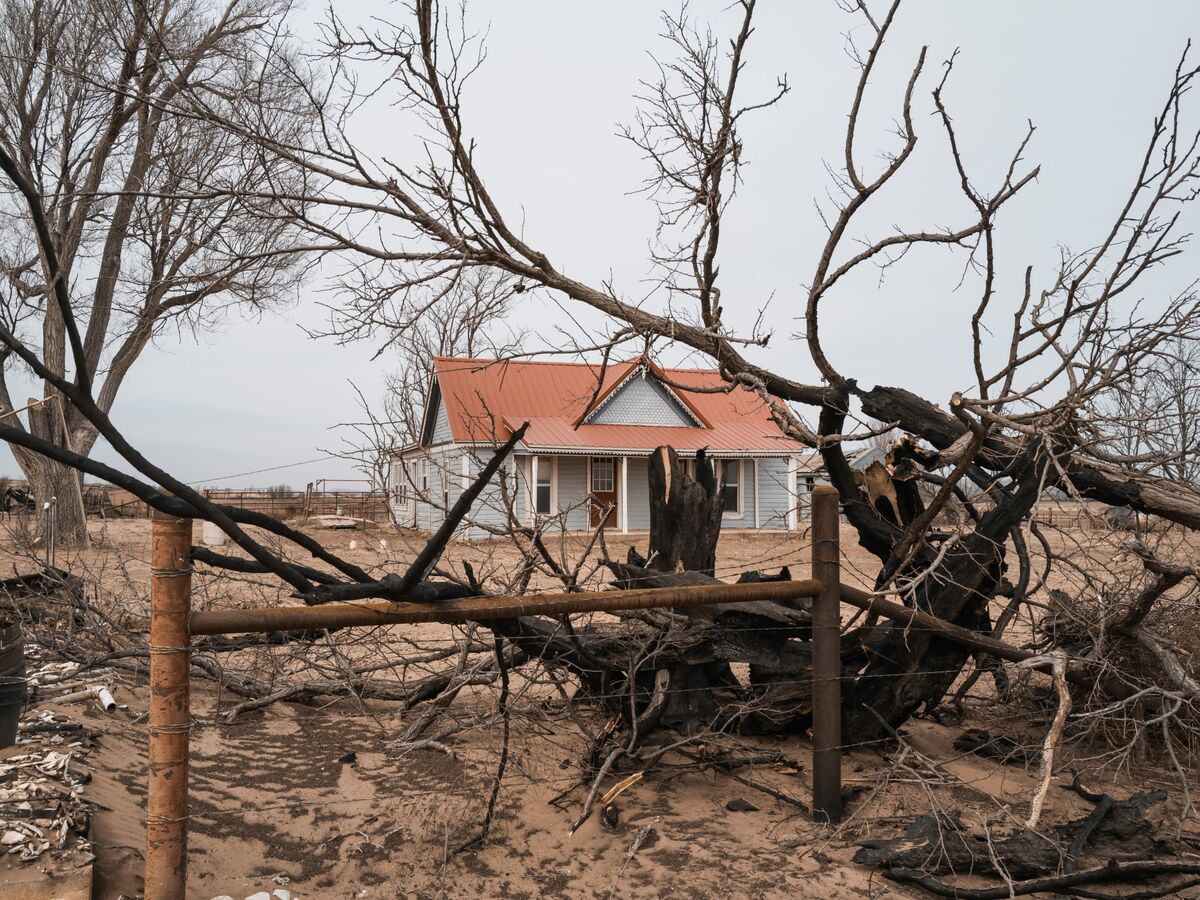 Texas Lawmakers Fault Xcel Power Pole in State’s Largest Fire - Bloomberg