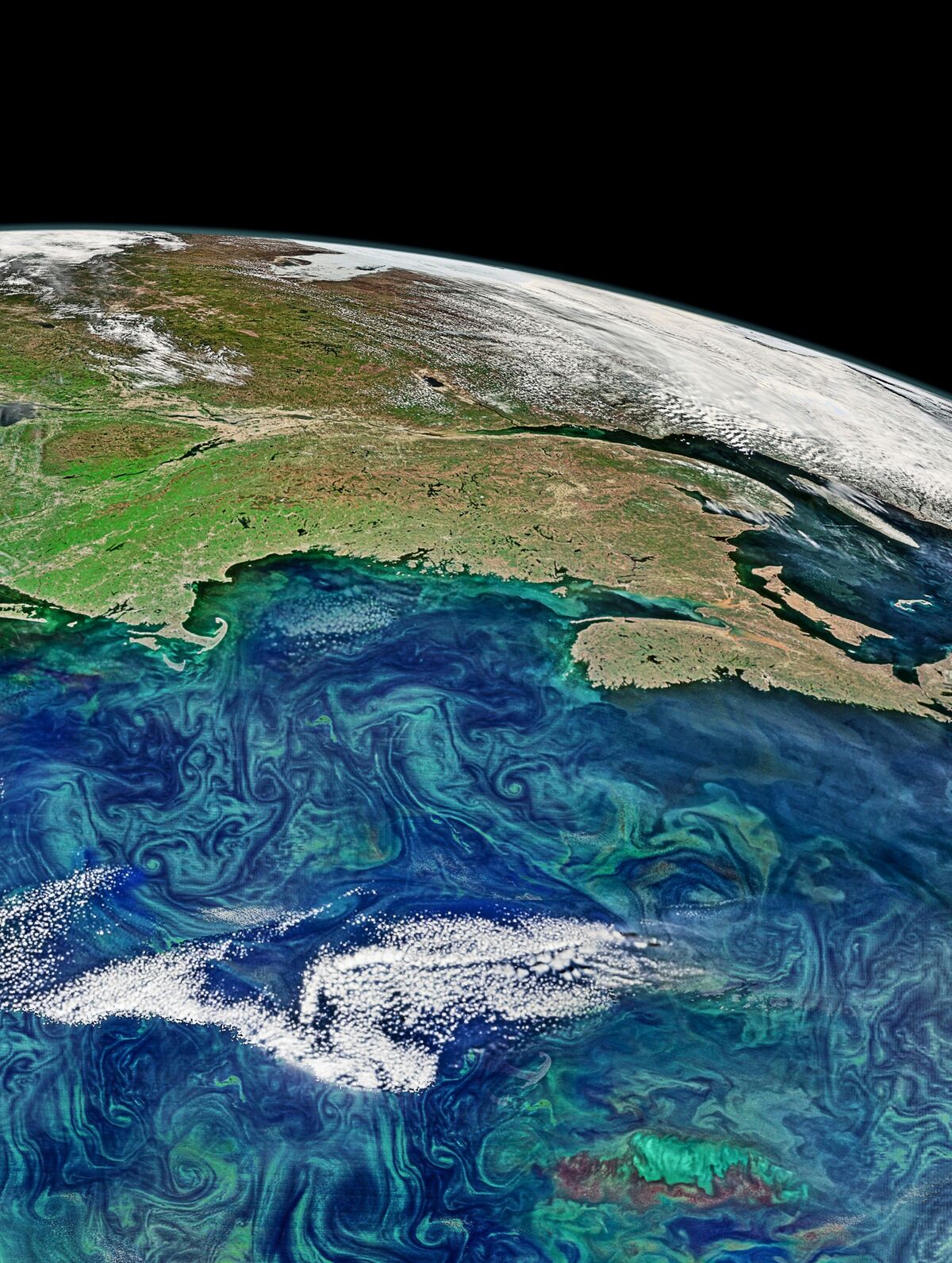Algae Blooms Visible From Space Increased as Climate Warmed - Bloomberg