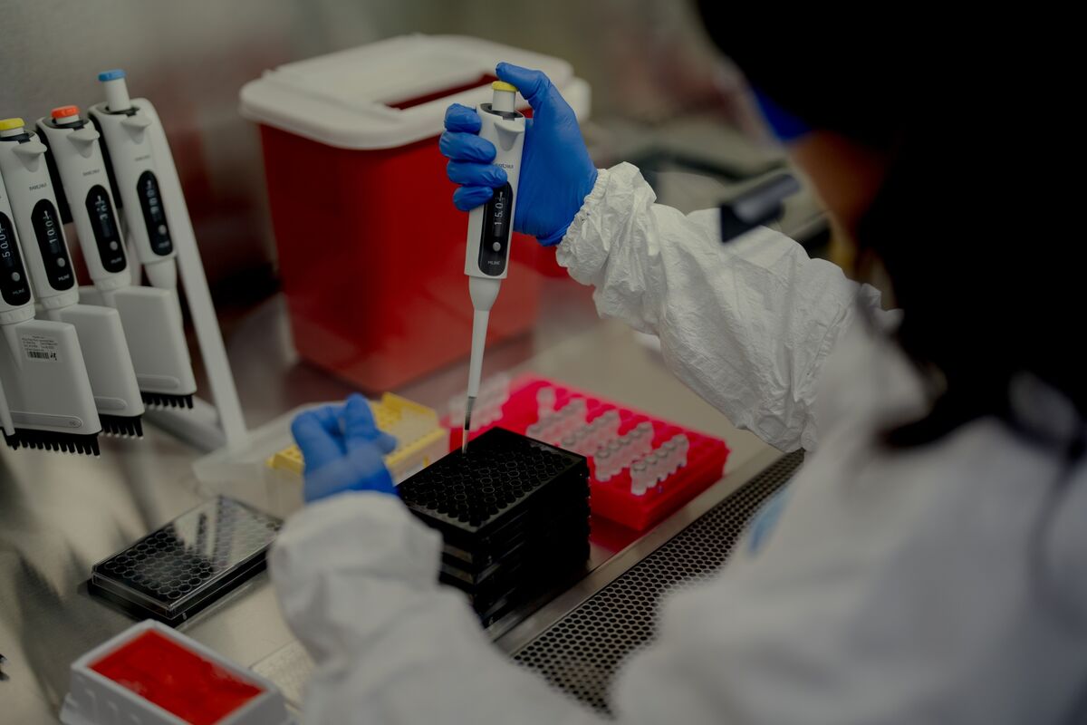 Pfizer New Covid Booster Fights Omicron Better Than Old One in Study ...