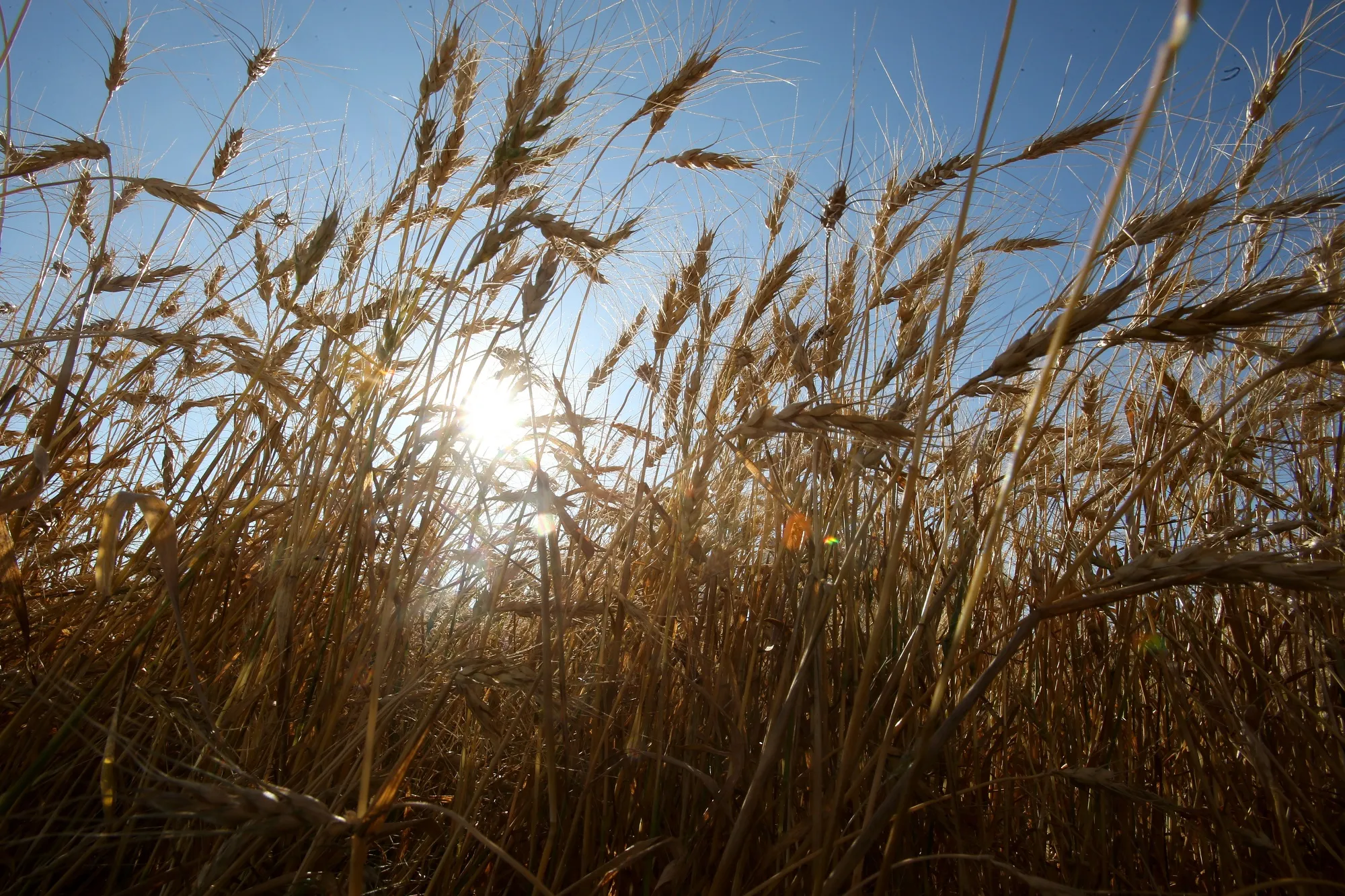 Five Key Charts to Watch in Global Commodity Markets This Week - Bloomberg