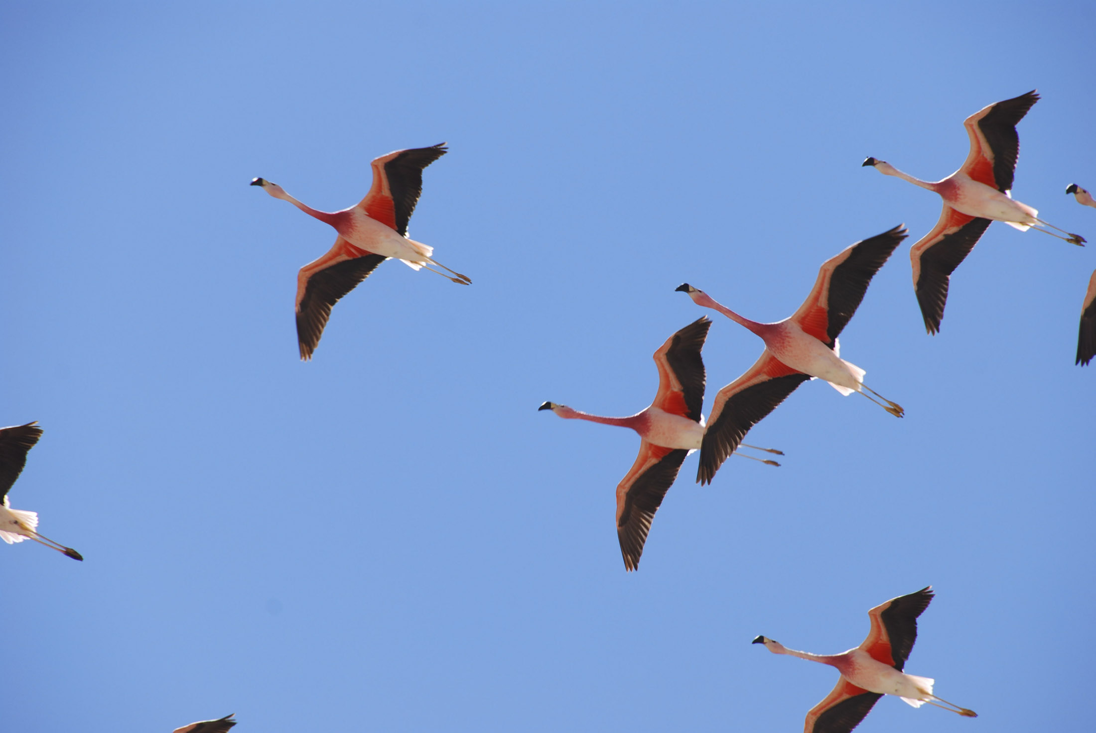 Why You Need to Go to Chile’s Atacama Desert: Photo Travel Guide ...