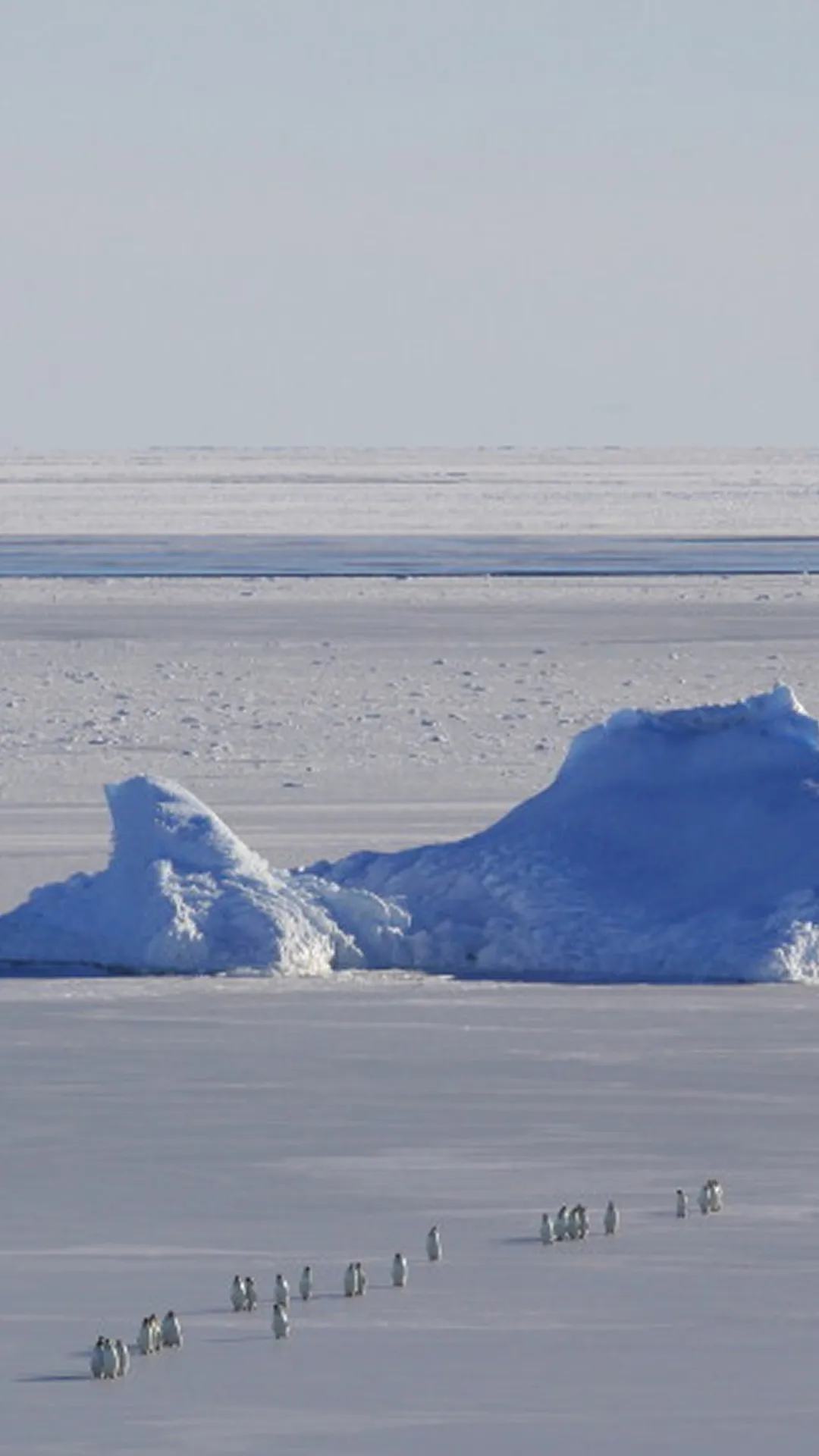 Watch How the Antarctic Ice Vault Stores Clues to the Earth's Past ...