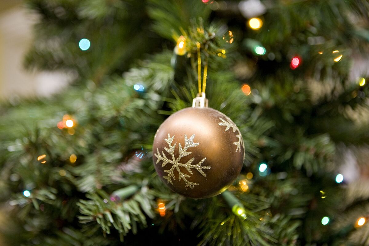 Christmas Tree Shops Files for Bankruptcy - Bloomberg