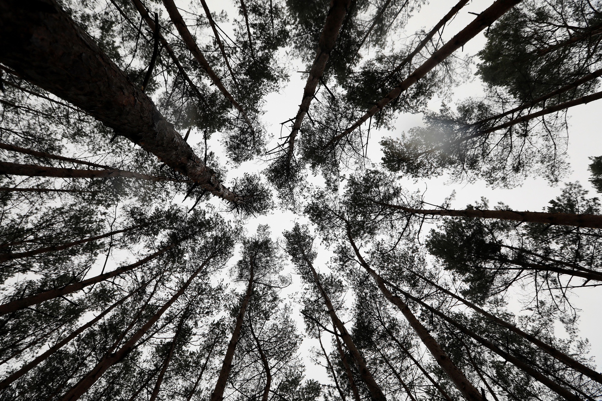 Fund Bosses Vent ‘Mass Frustration’ as ESG Tumult Grips Industry ...