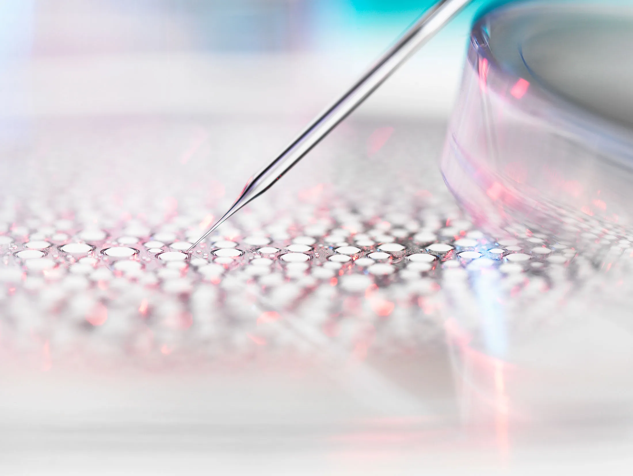 Shrinking Talent Pool May Bind Biotechs After Brexit - Bloomberg