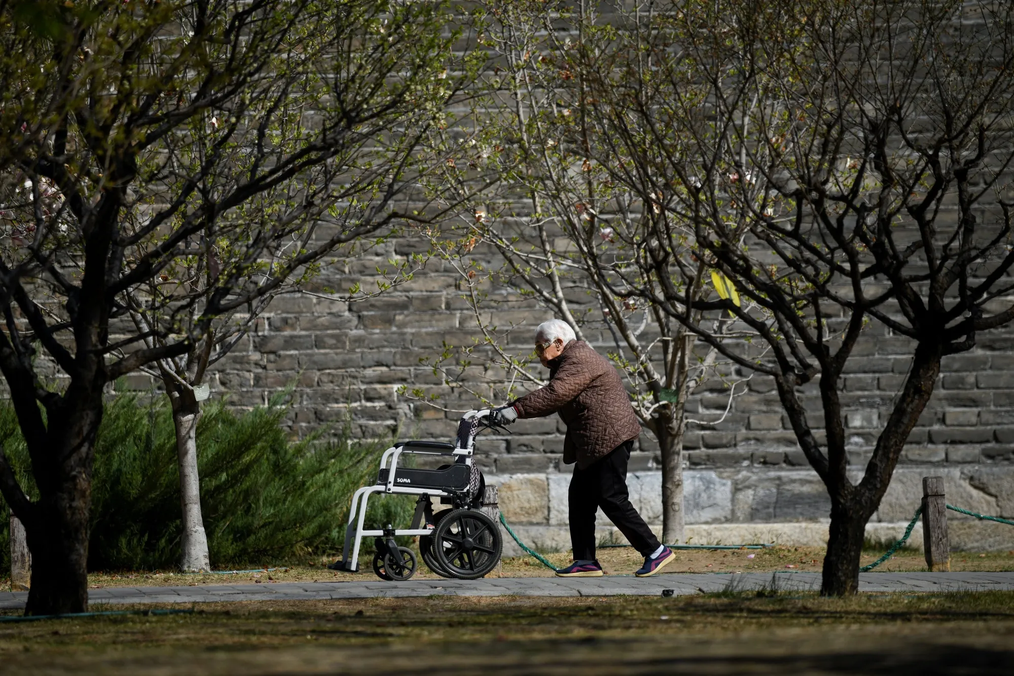 China Confronts Growing Family Feuds That Challenge Traditions - Bloomberg