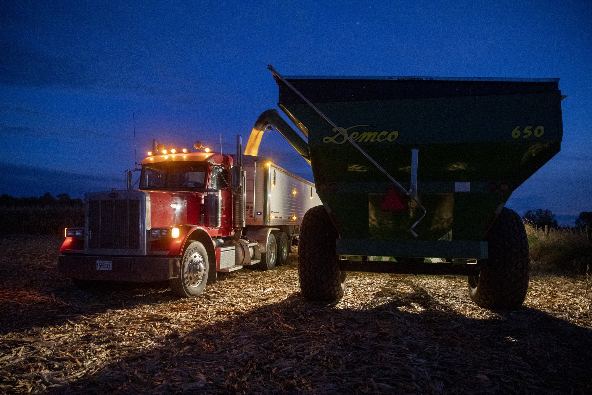 Corn Leads Surge in Crops With Global Supply Concerns Mounting - Bloomberg