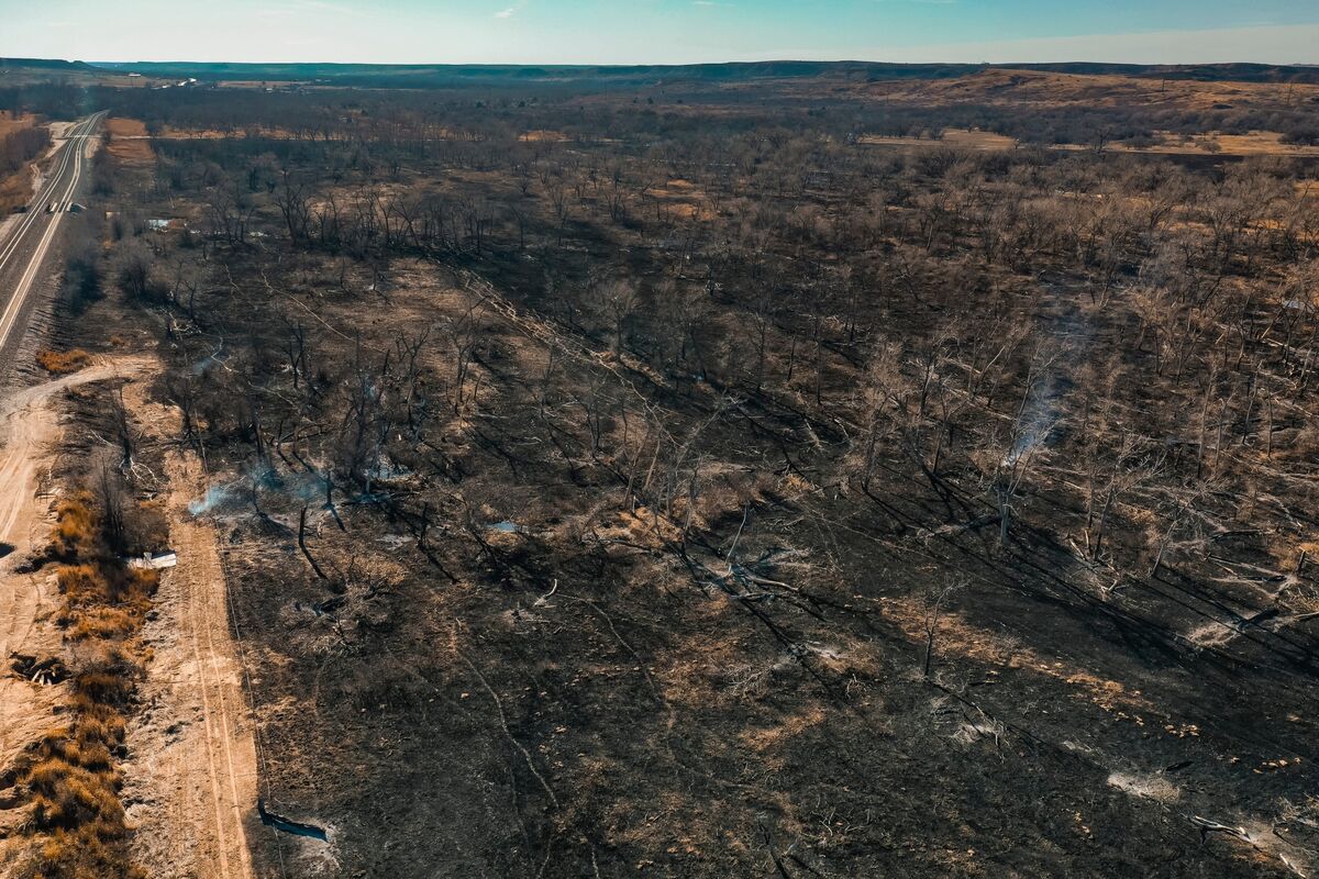 Texas Wildfire: Smokehouse Creek Fire Burned Ranch Tied to Soil Carbon ...