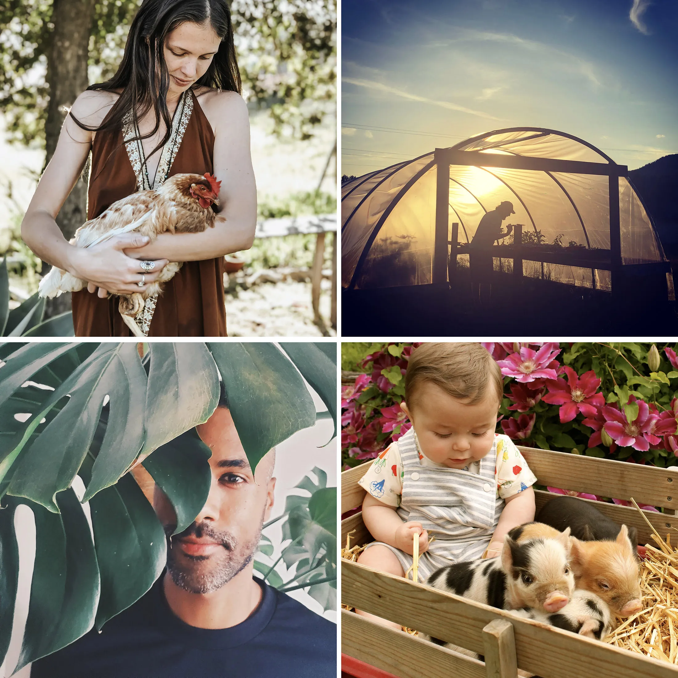 Raising Chickens, Gardening, Baking and More: The Covid-19 DIY Boom ...