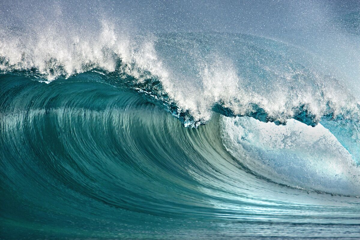 Midterm Elections: Democratic Waves and Trump October Surprises - Bloomberg