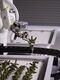 Lettuce-Farming Robots Might Grow Your Next Salad - Bloomberg