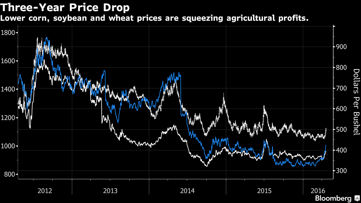 Marubeni's Gavilon Hunts for Grain-Trade Deals to Expand in U.S ...
