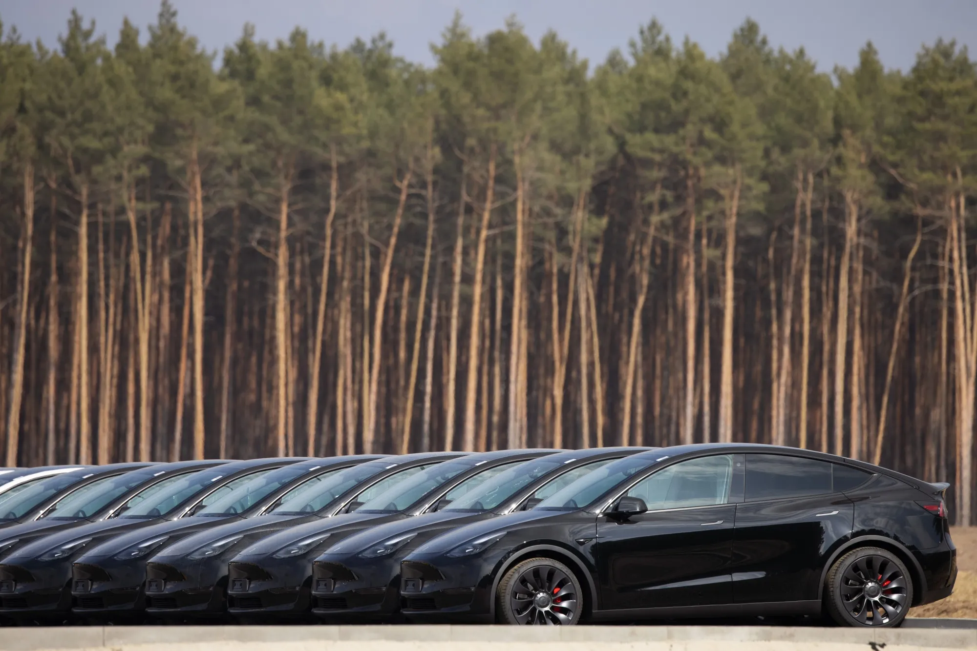 Maybe There’s No Such Thing as an ESG Stock After All: Green Insight ...