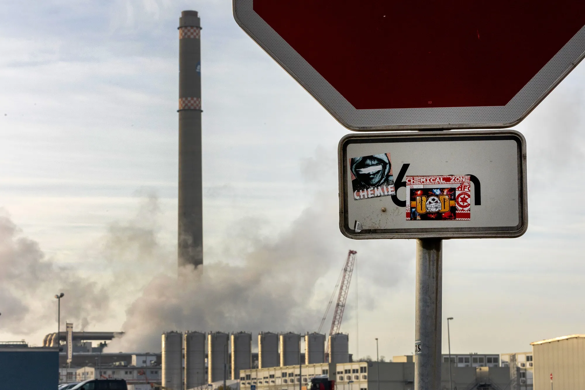 Germany’s Populist Surge Puts Nation’s Climate Momentum at Risk - Bloomberg