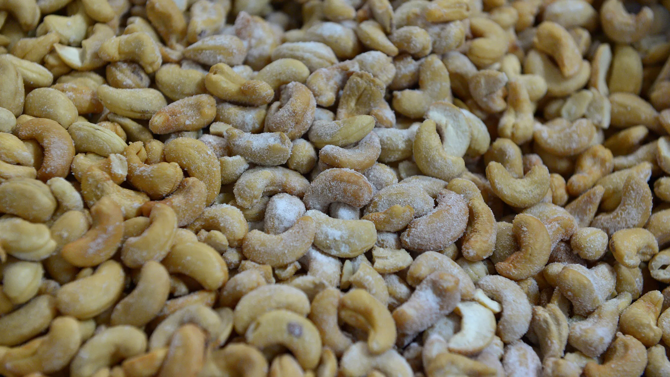 Processed cashew nuts prices store