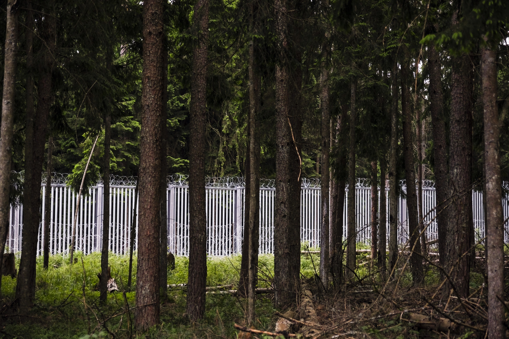 Russia's Threat Is Key to European Elections in Poland - Bloomberg