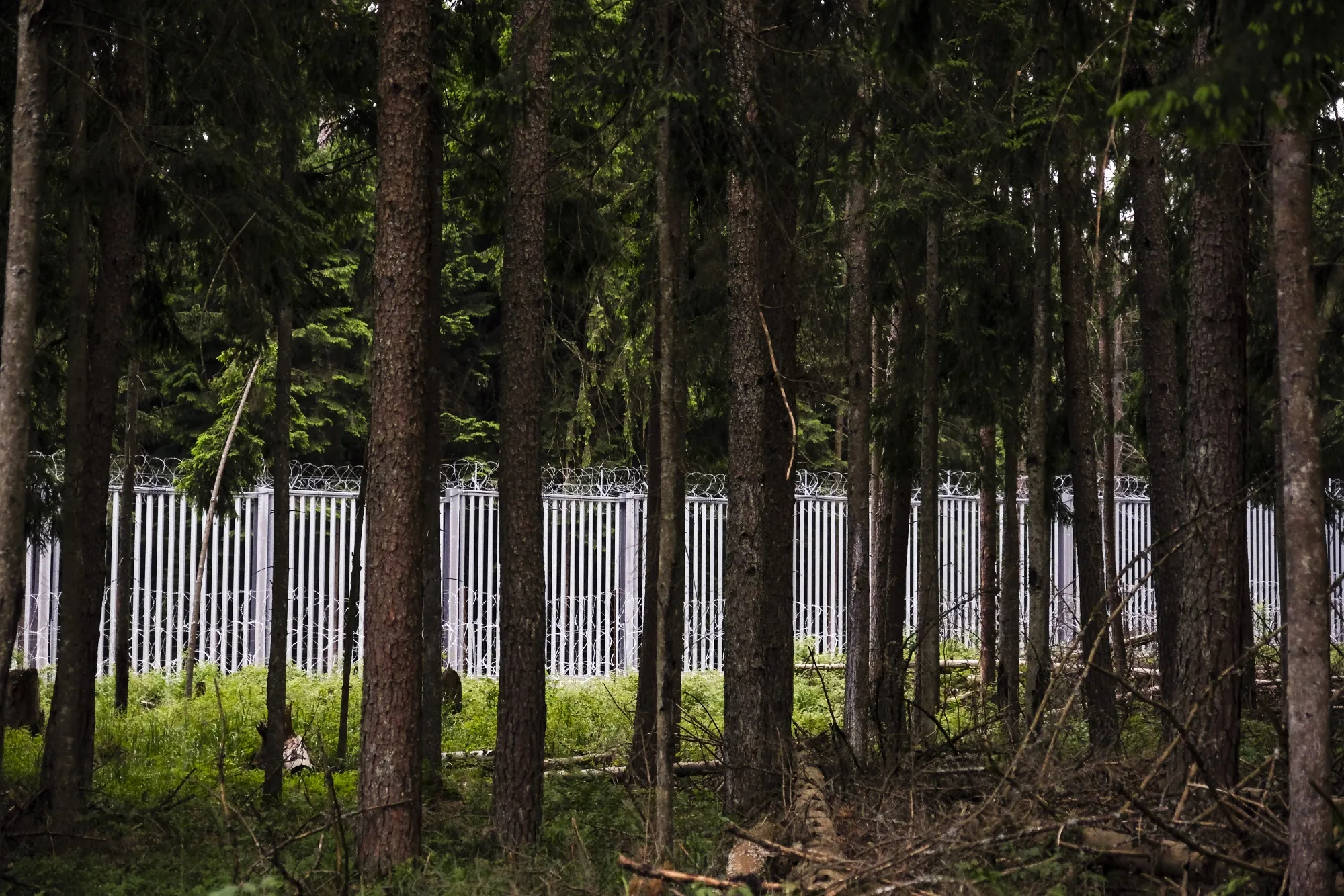 Russia's Threat Is Key to European Elections in Poland - Bloomberg