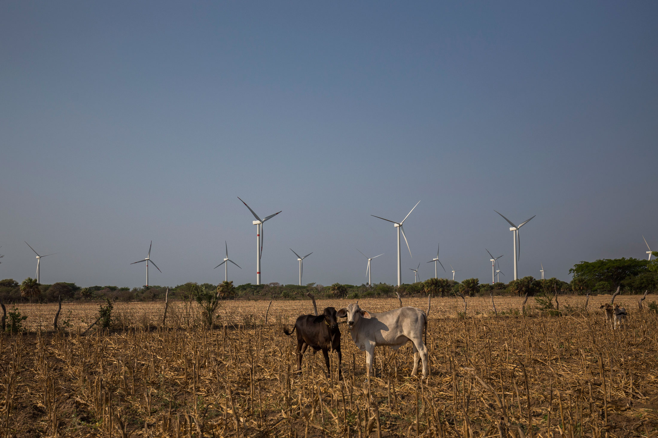 Even Clean Energy Has Its Little Oil Spills - Governors' Wind Energy ...