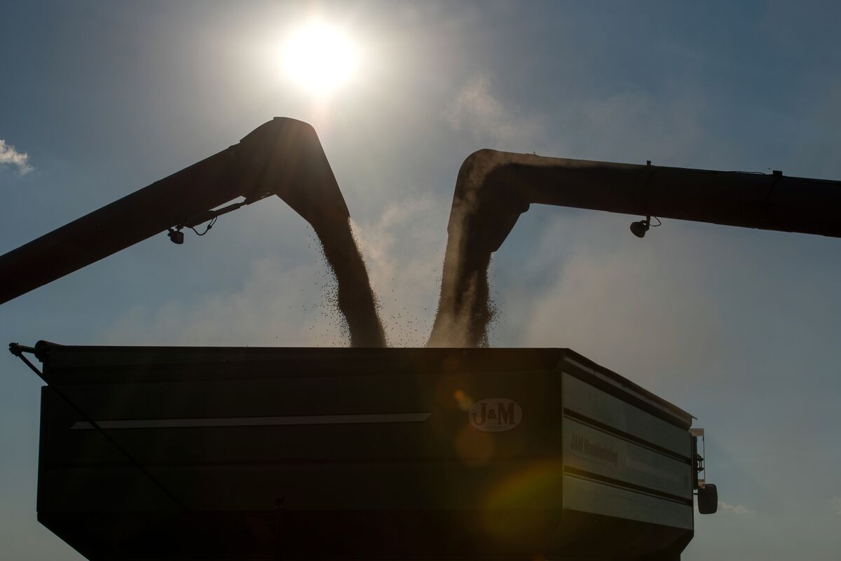 Biofuel Maker Renewable Energy Group Said to Field Interest - Bloomberg