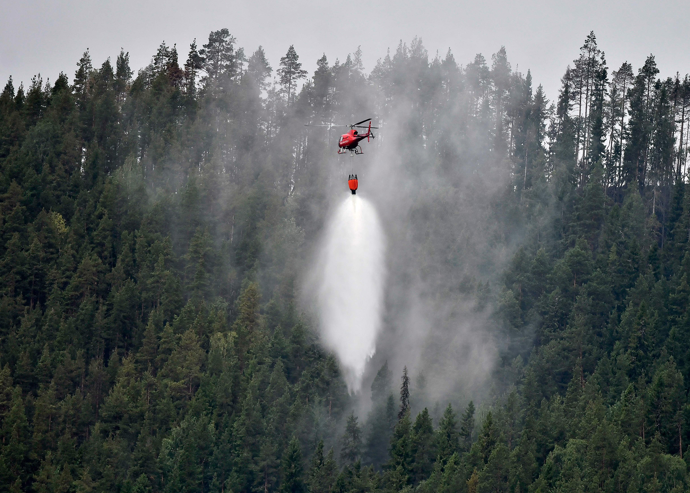 Sweden Wildfire Threat Hits `Extreme' Level Across the Country - Bloomberg