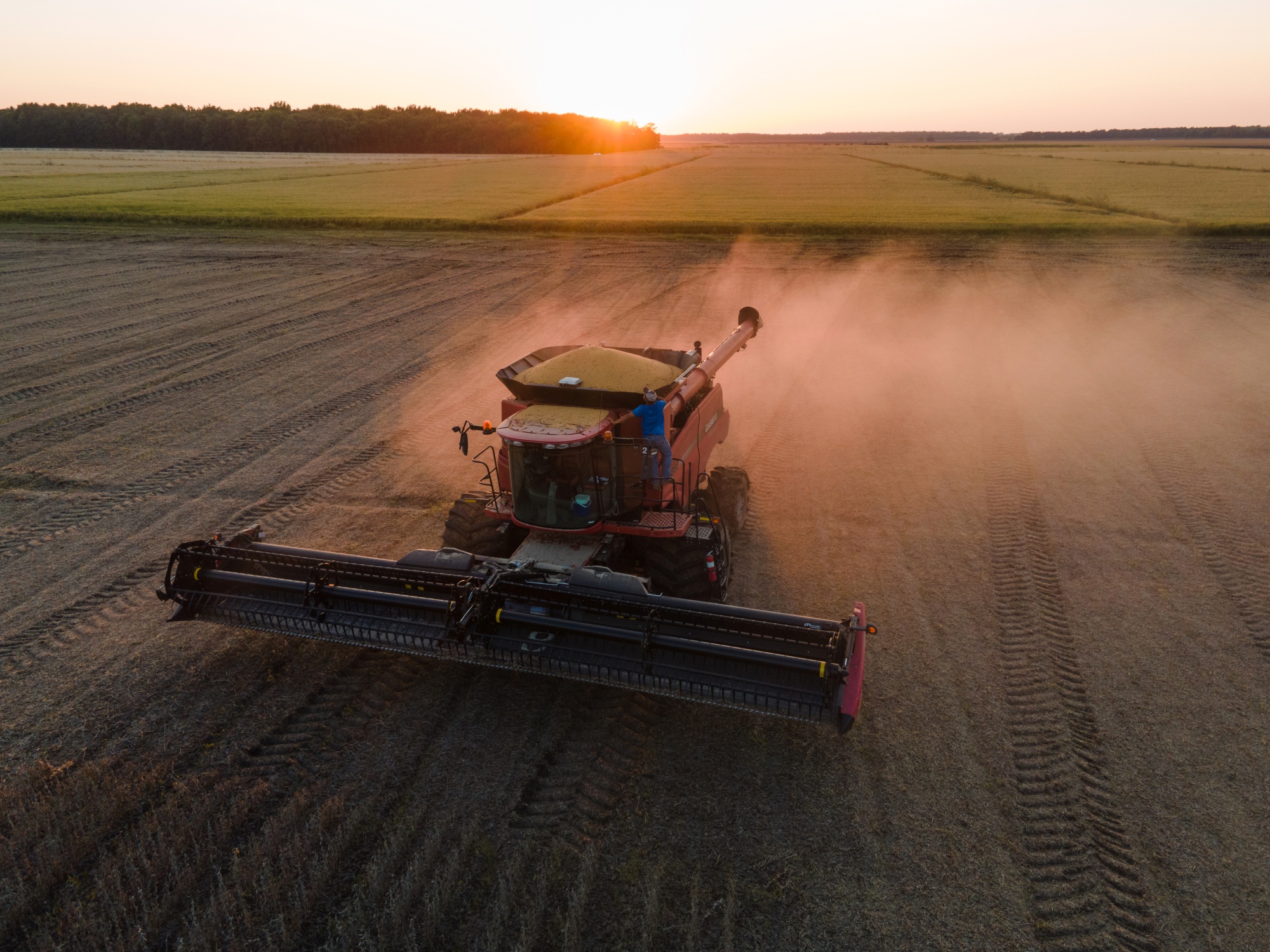 American Soy Farmers Get Boost from Post-Trade War Export Boom - Bloomberg
