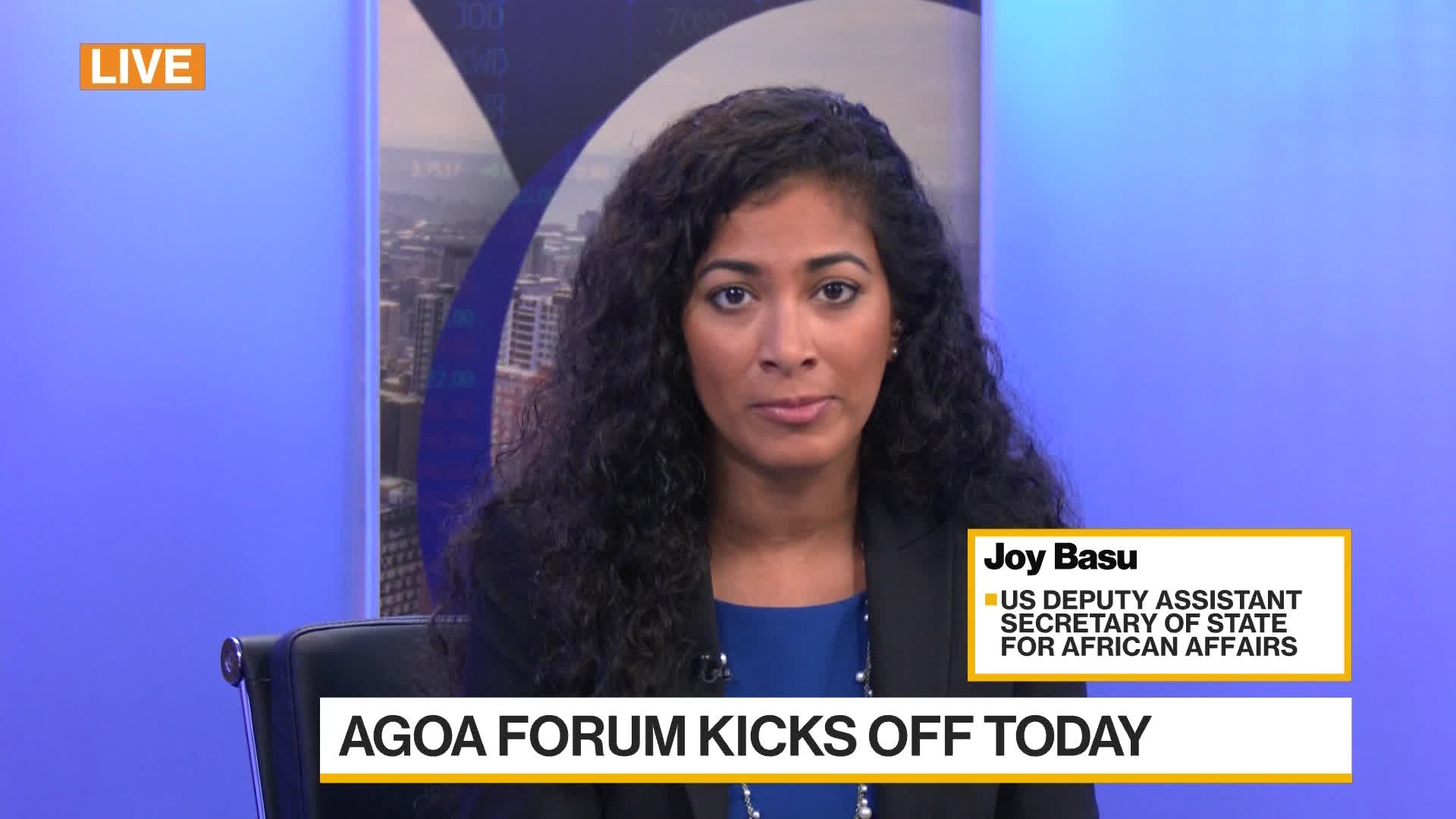 Watch Tinubu 'making the right moves': US's Joy Basu - Bloomberg