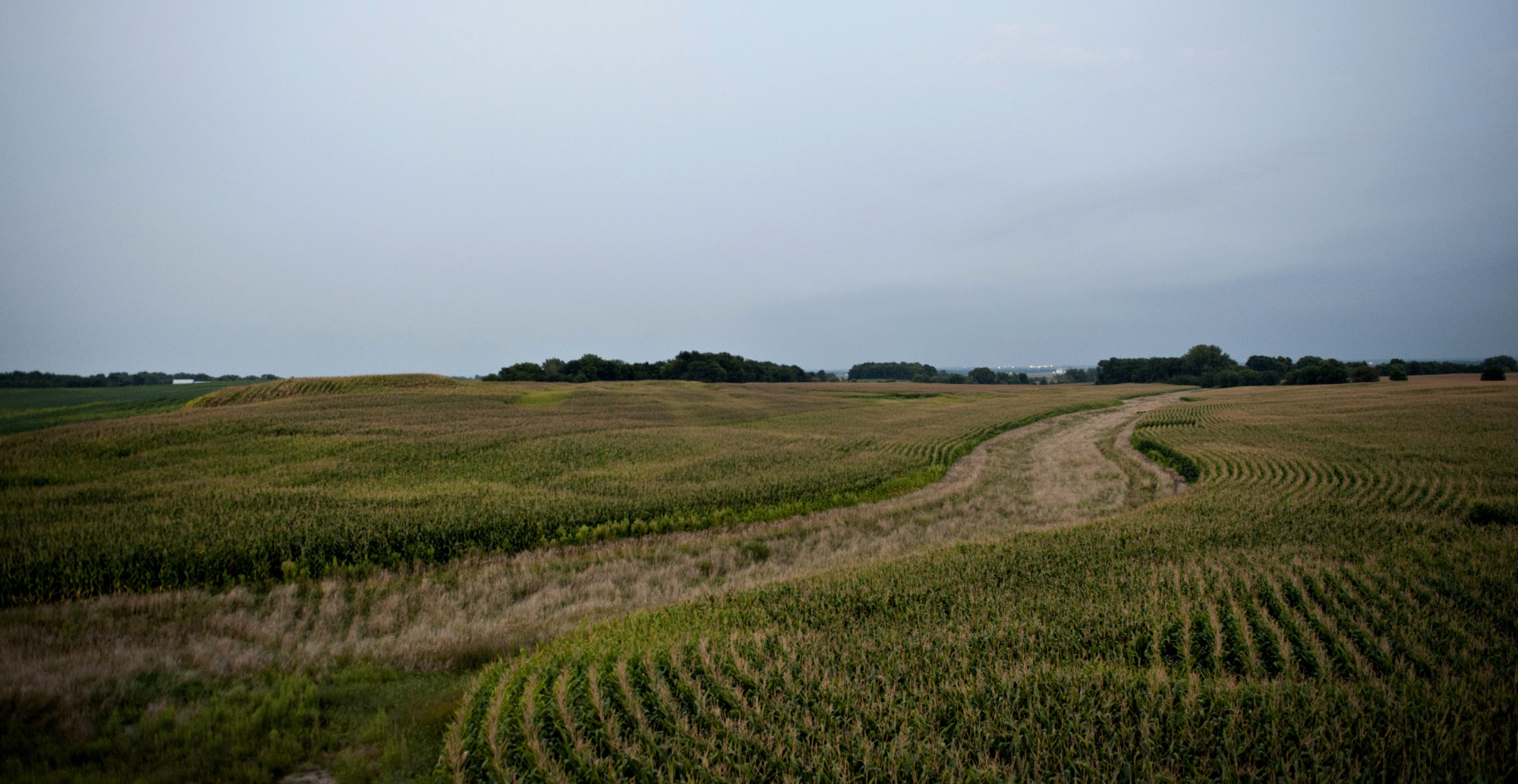 US Farmland Escapes Real Estate Slump as Prices Soar to Record - Bloomberg