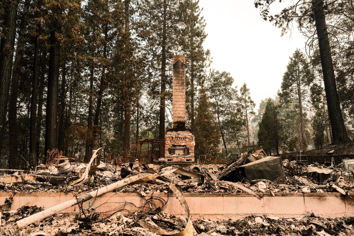 Watch Duty Wildfire Tracker Is the Hottest App of the Year - Bloomberg