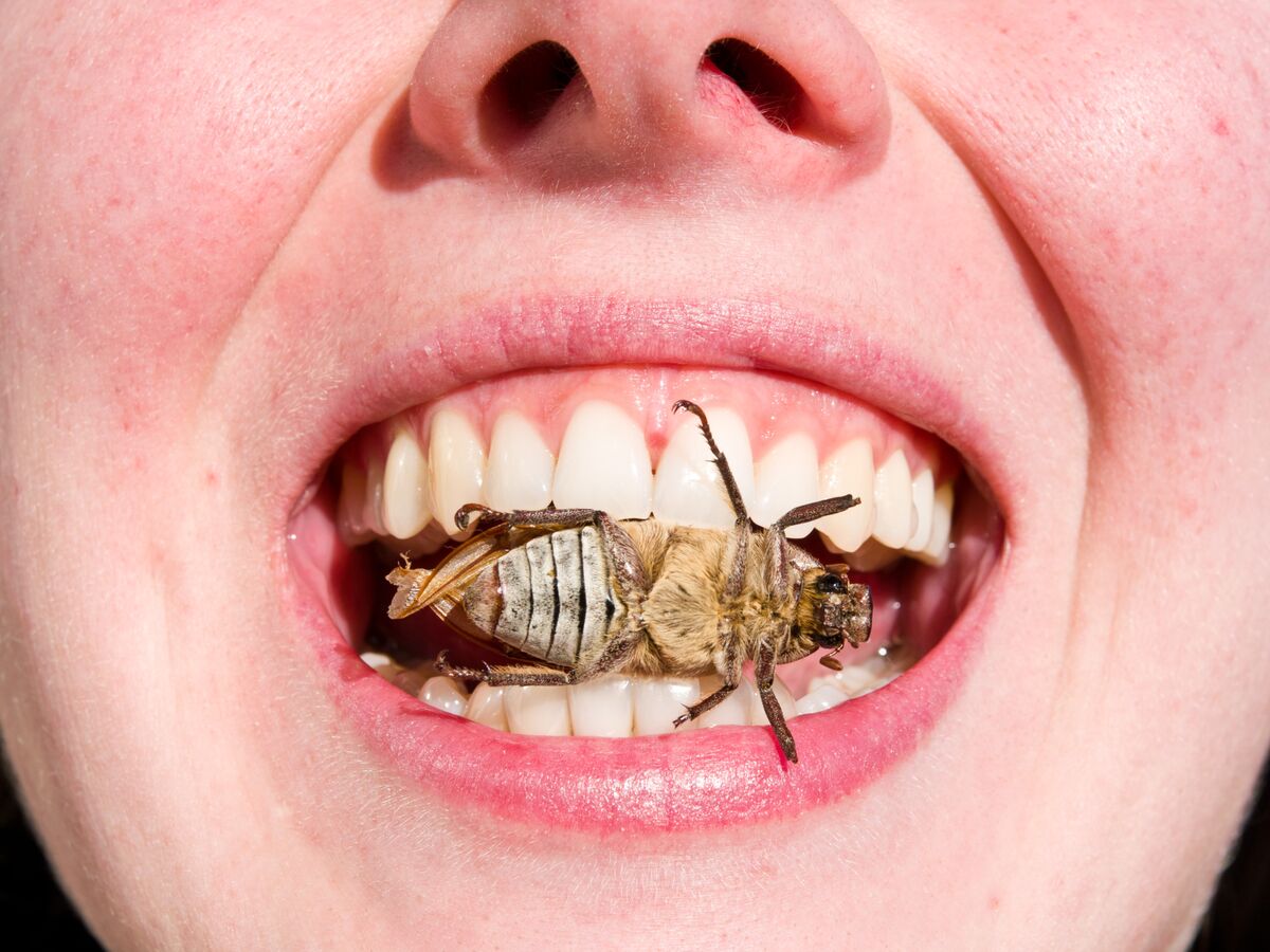 🤷WTF? - New conspiracy theory unlocked | Alligator Underground