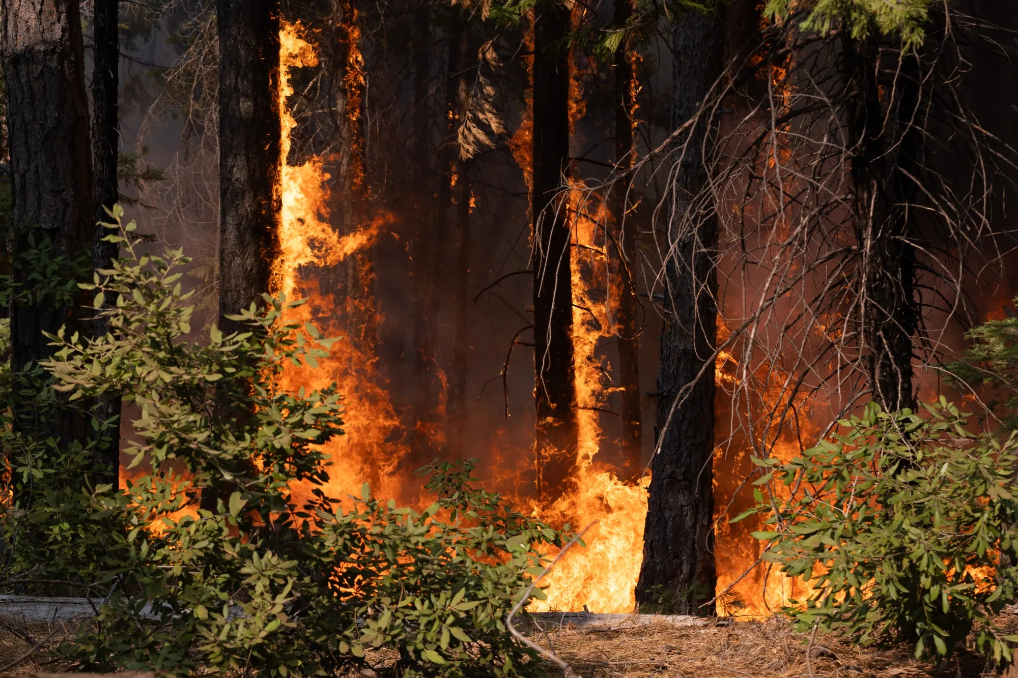 California Fires Latest: Cooler Weather Is Helping Firefighters - Bloomberg