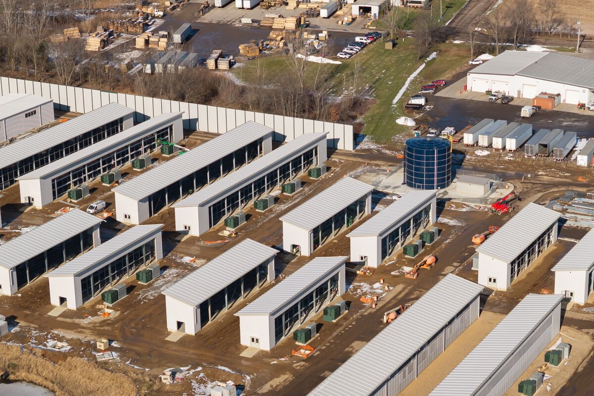 Data-Center Backlash Offers a Populist Opportunity for DeSantis ...