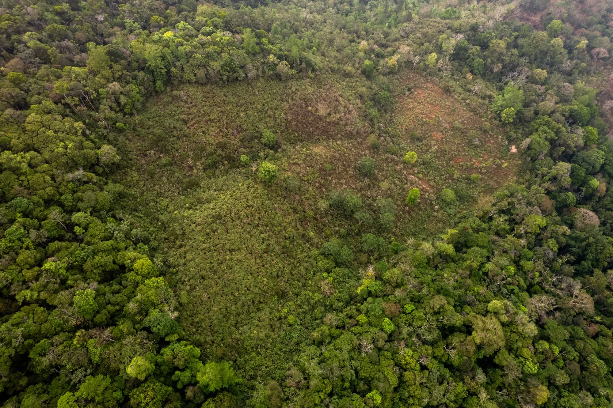 Reality Bites Europe’s Green Ambitions - Bloomberg