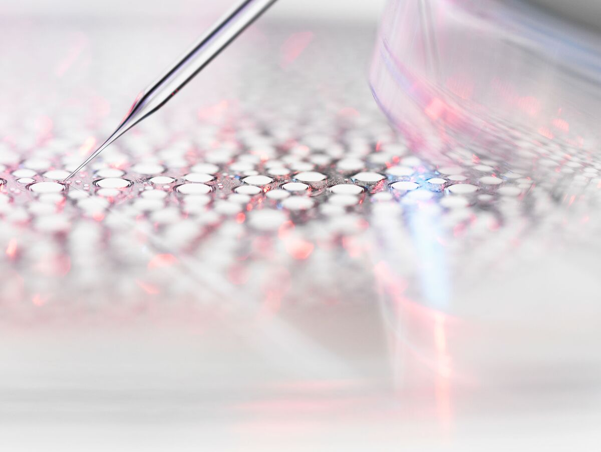 Biotech Fund Legend Sam Isaly Harassed Women at Firm, Stat News Reports ...