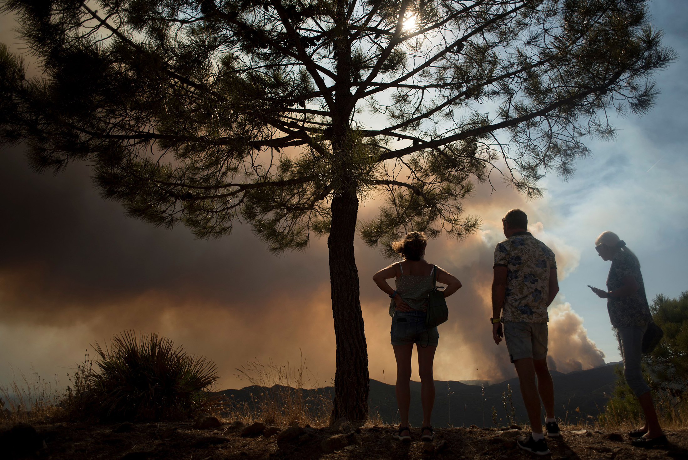 'A Hungry Monster': Strong Winds Power Wildfire in Spain - Bloomberg