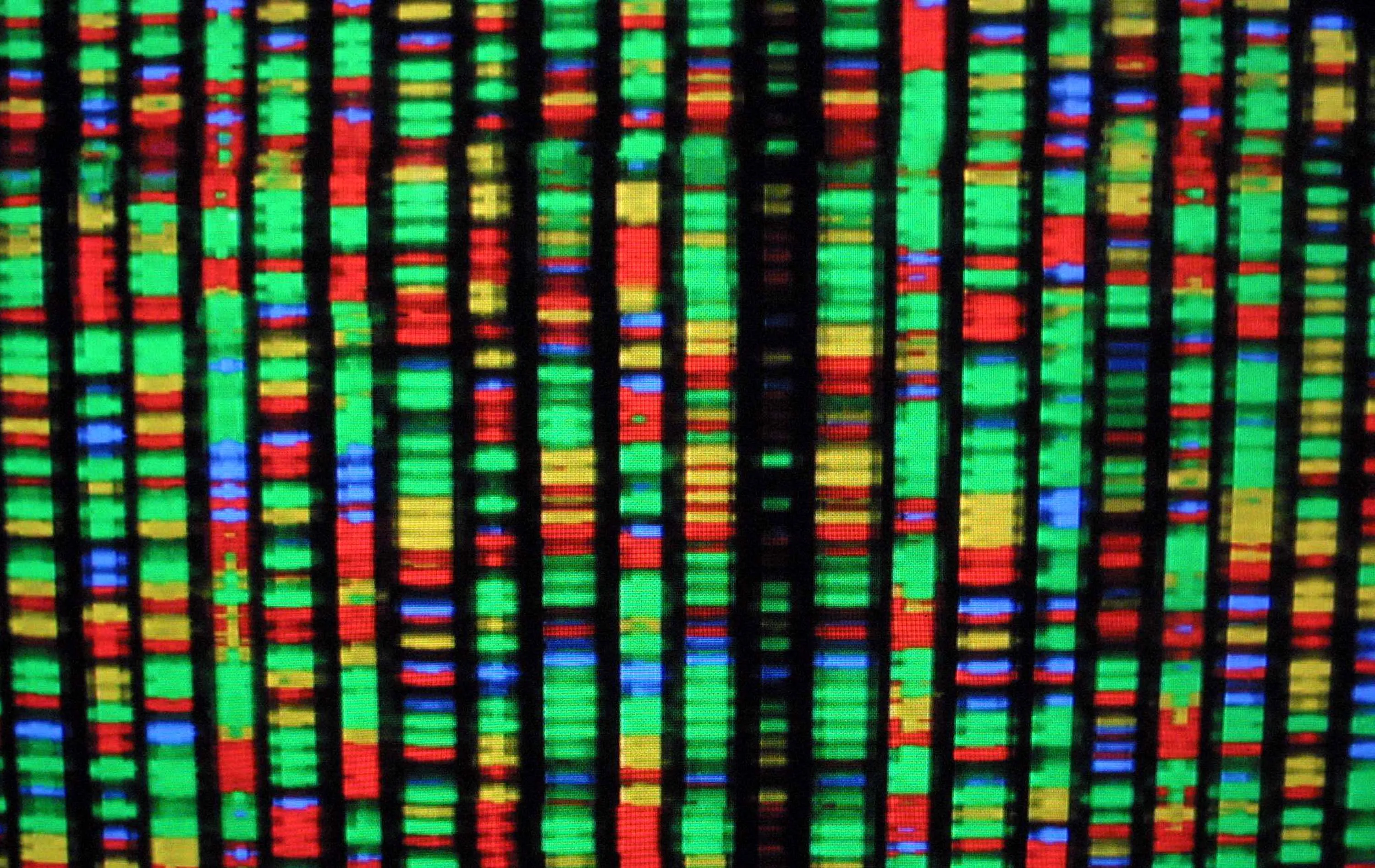 DNA Research: Scientists Generate First Complete Sequence of Human ...