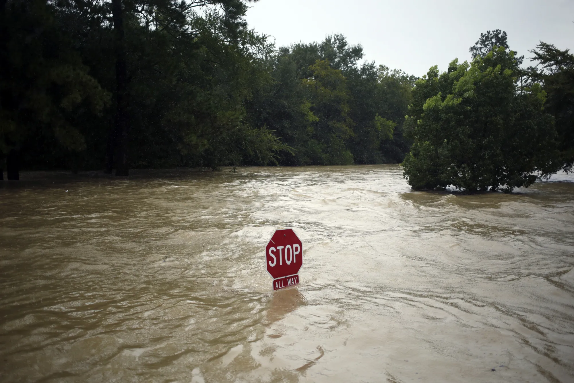 Houston’s Poorest Take Brunt of Natural Disasters, Study Finds - Bloomberg