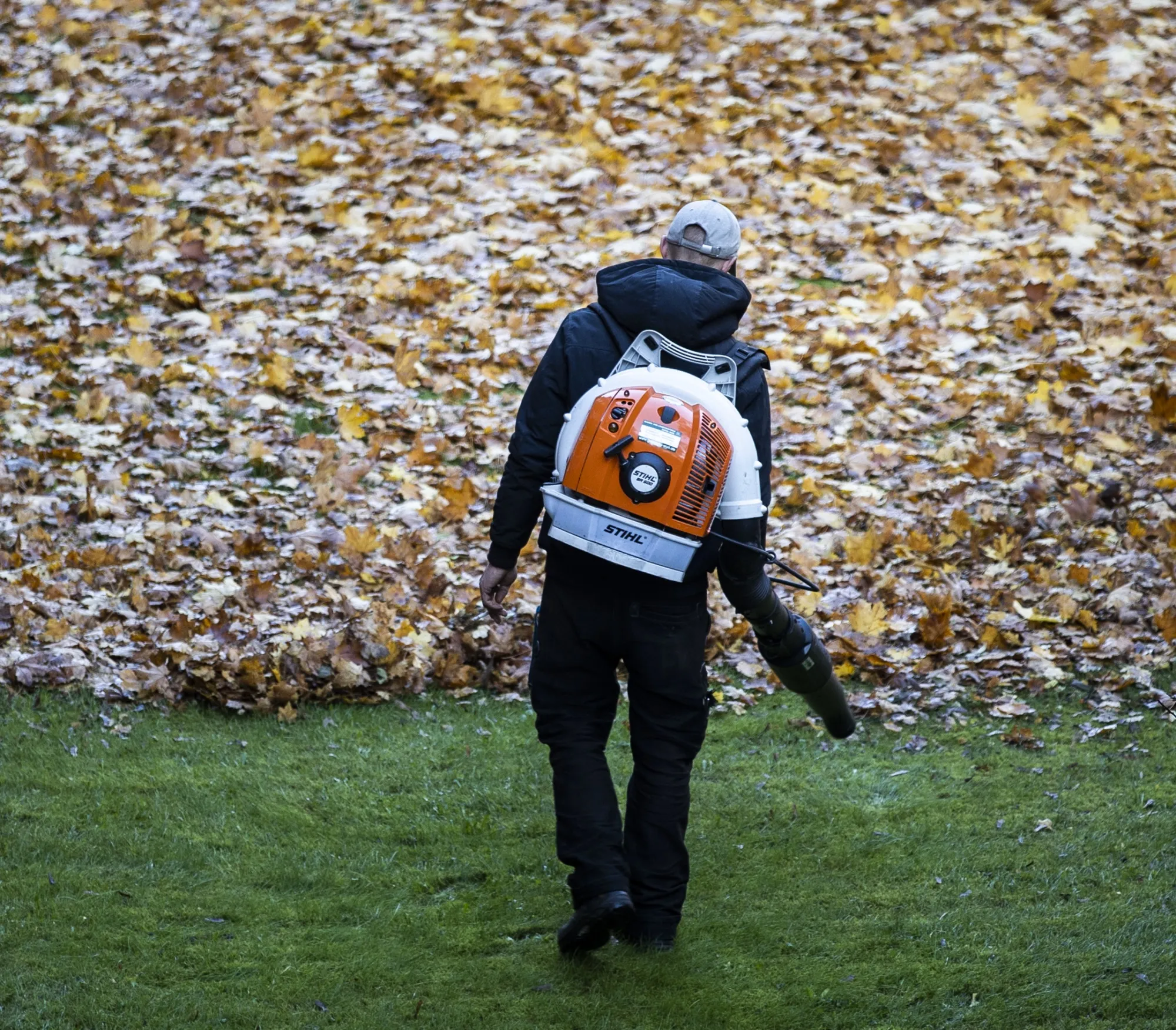 Cities That Banned Leaf Blowers Are Getting an Earful From Landscapers ...