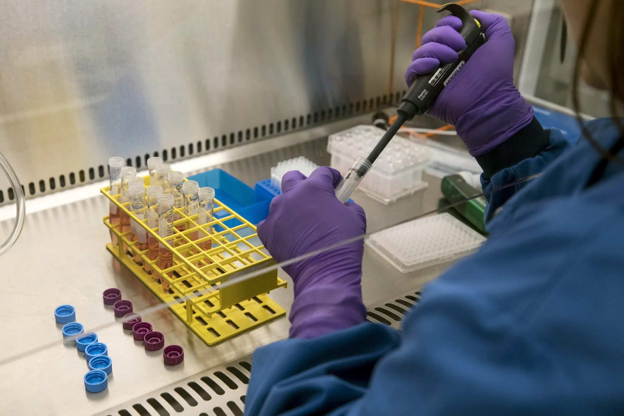 GlaxoSmithKline (GSK), Eli Lilly (LLY) Join to Test Covid-19 Antibody ...